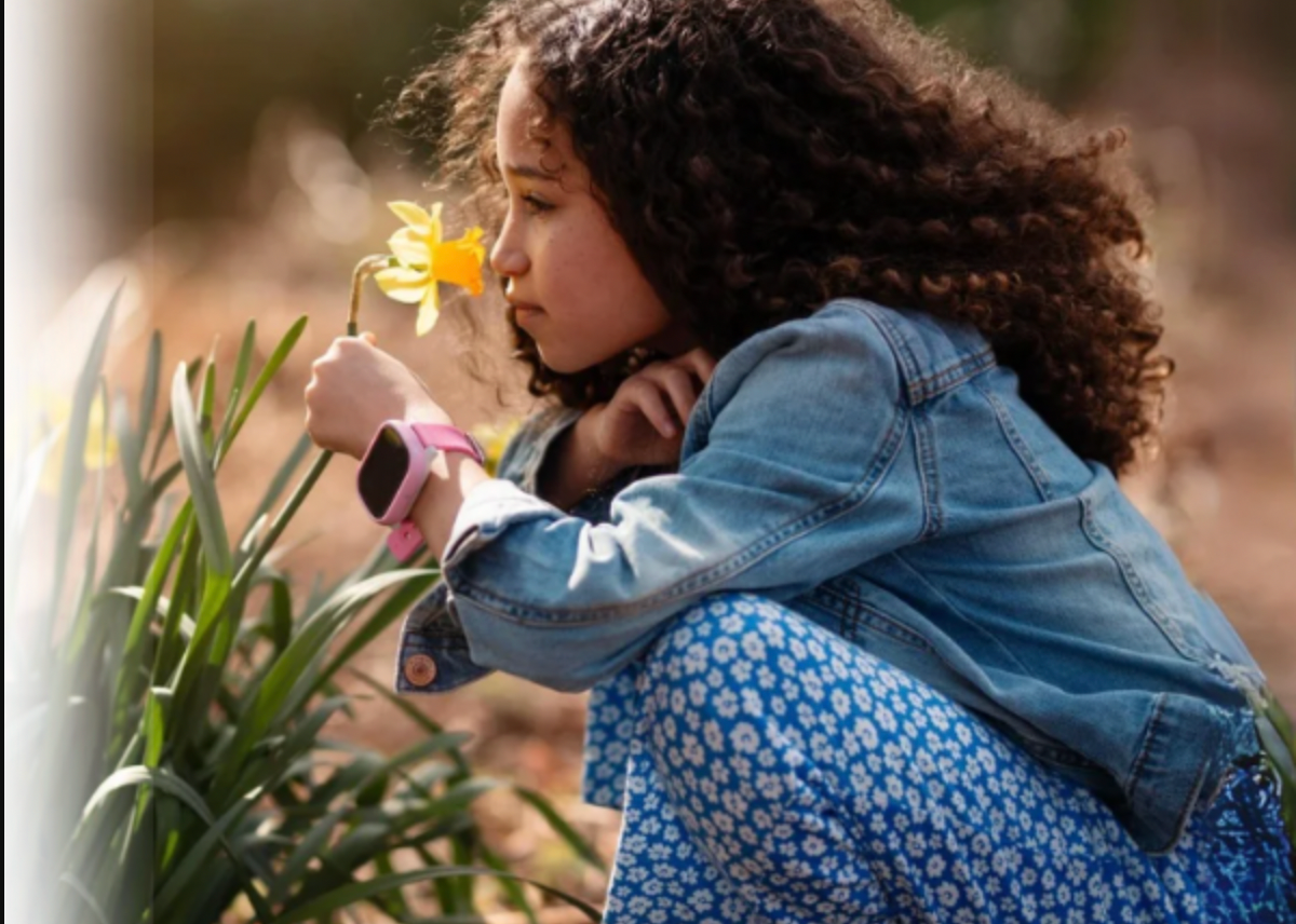 Segue Corp. and Xplora Technologies Collaborate to Support Sustainabil ...